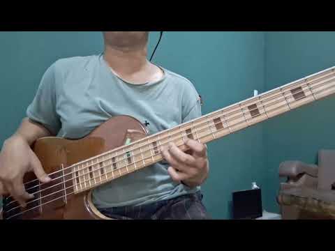 Zeline Basses Avora 5 - Burled Poplar 2025 - Gloss Multi | Reverb