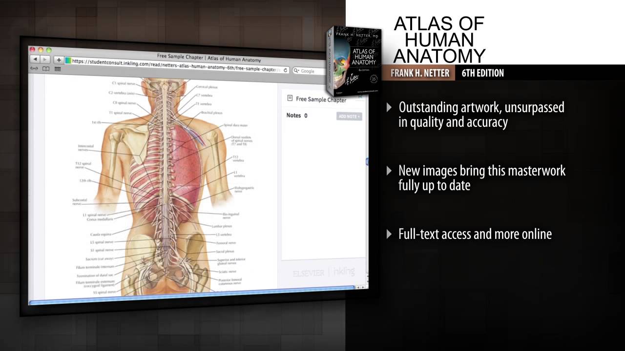 Atlas of Human Anatomy, 6th Edition