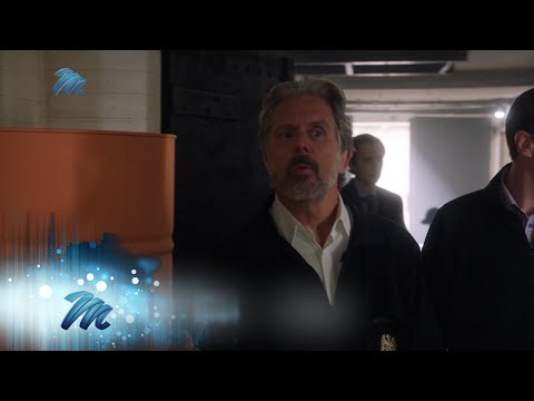 The NCIS is ready to serve – NCIS | S20 | M-Net