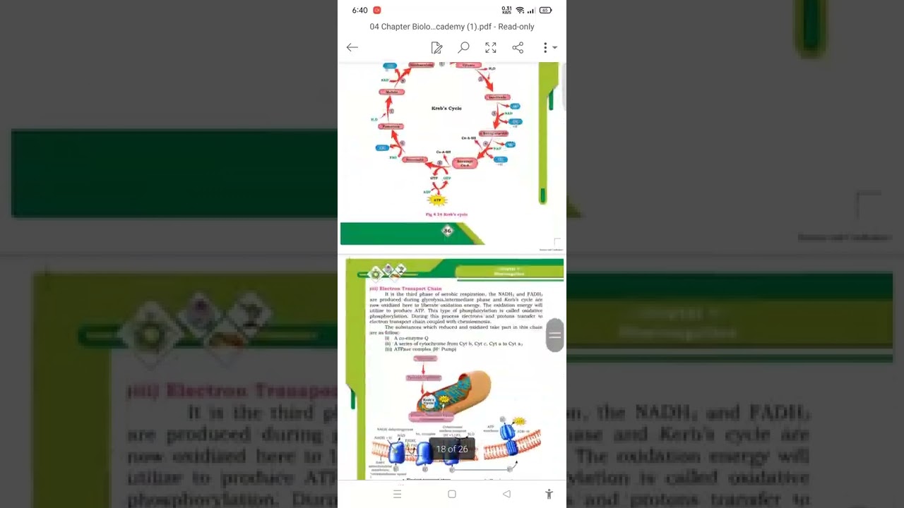 Biology Class:11 chap4 complete pdf in description