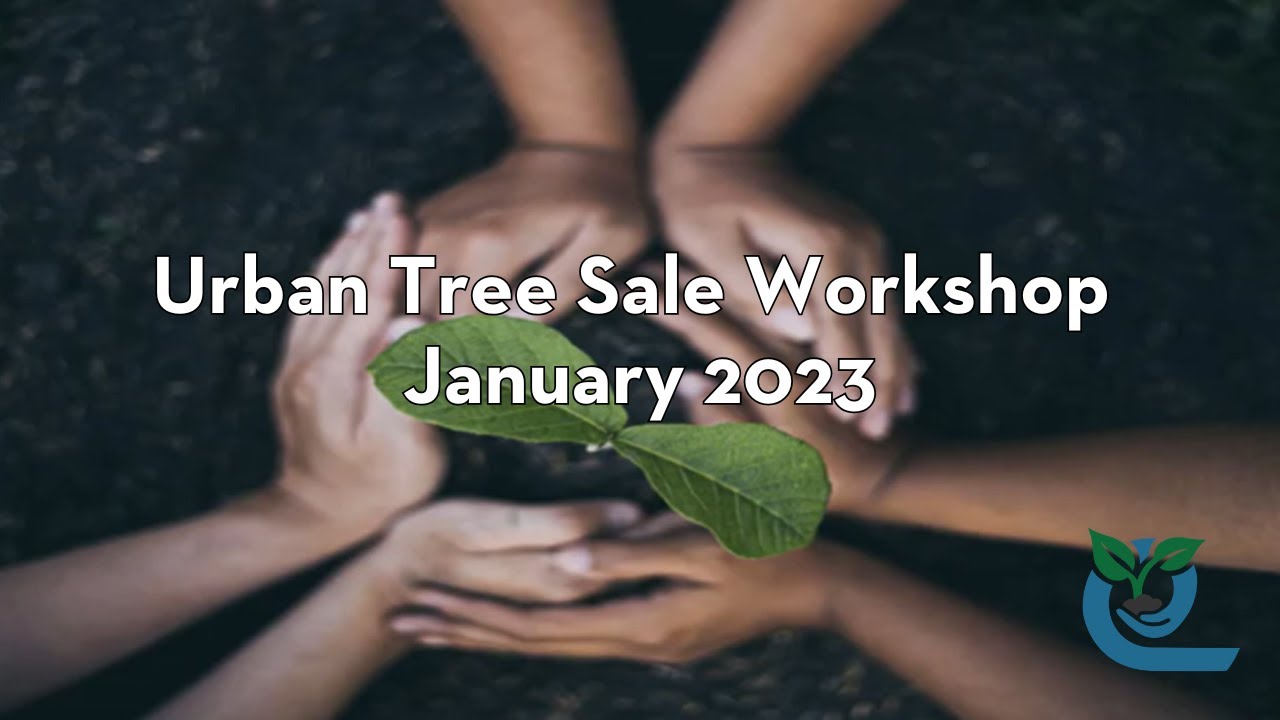 Urban Tree Sale Workshop
