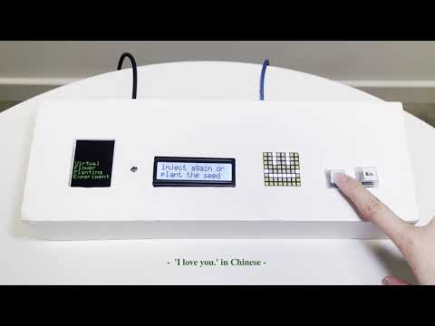 Virtual Flower Planting Experiment|Ual-Cci-PComp-Final