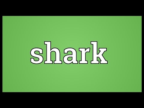 Shark Meaning