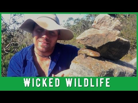 3 Reasons NOT To Stack Rocks In Wilderness Areas