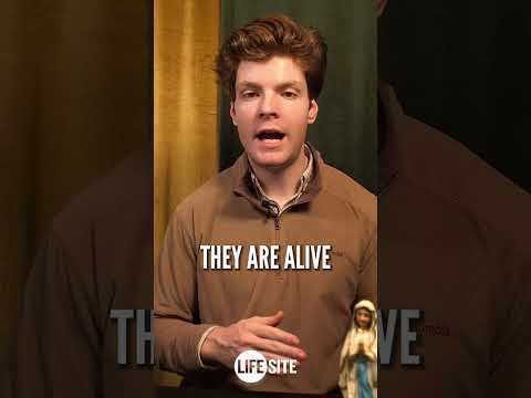 Why do Catholics ask Mary or the saints to pray for them? WATCH: