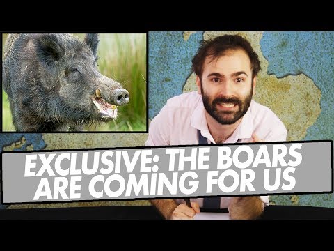 Newsbytes archive for September 2018 | flayrah