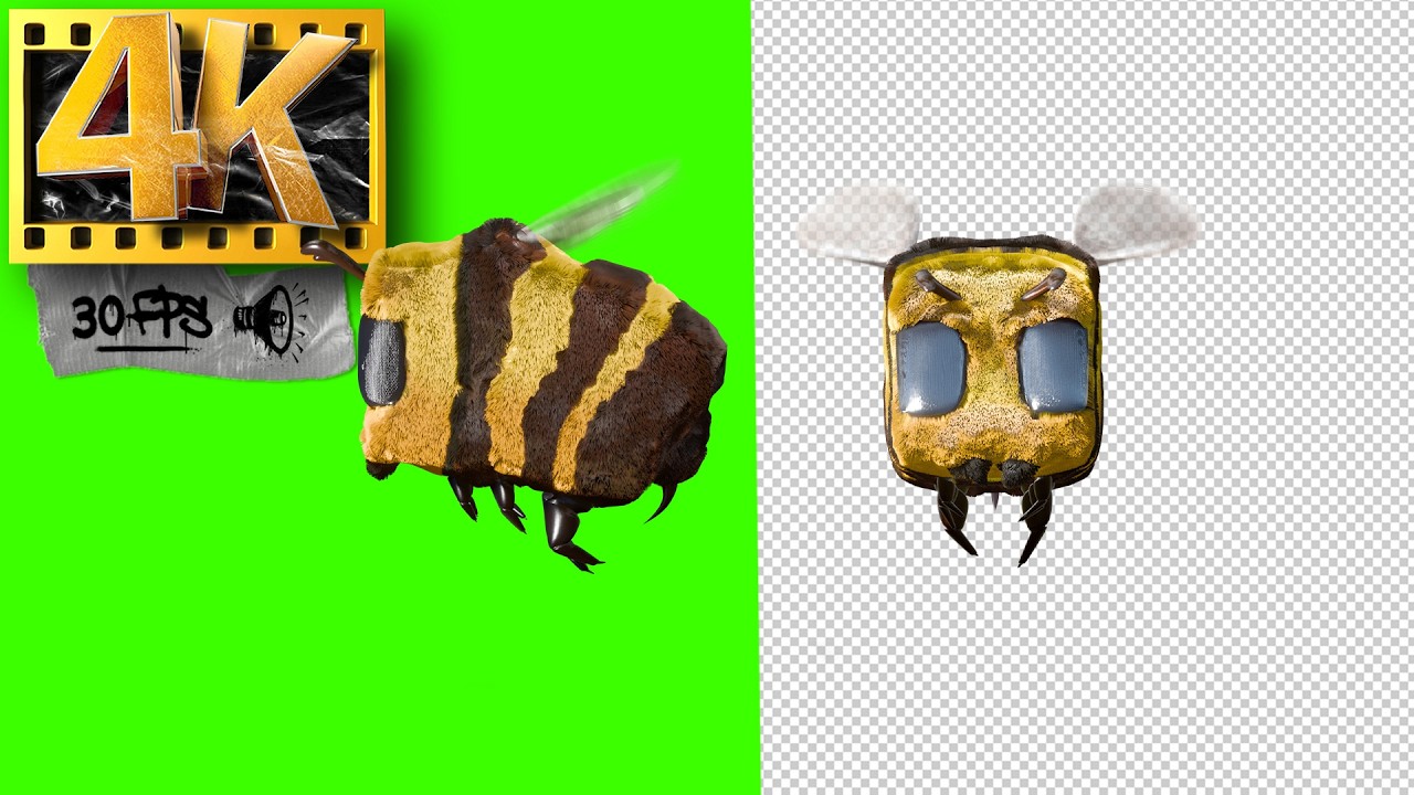 Bee - Minecraft Green Screen | Footage 4K