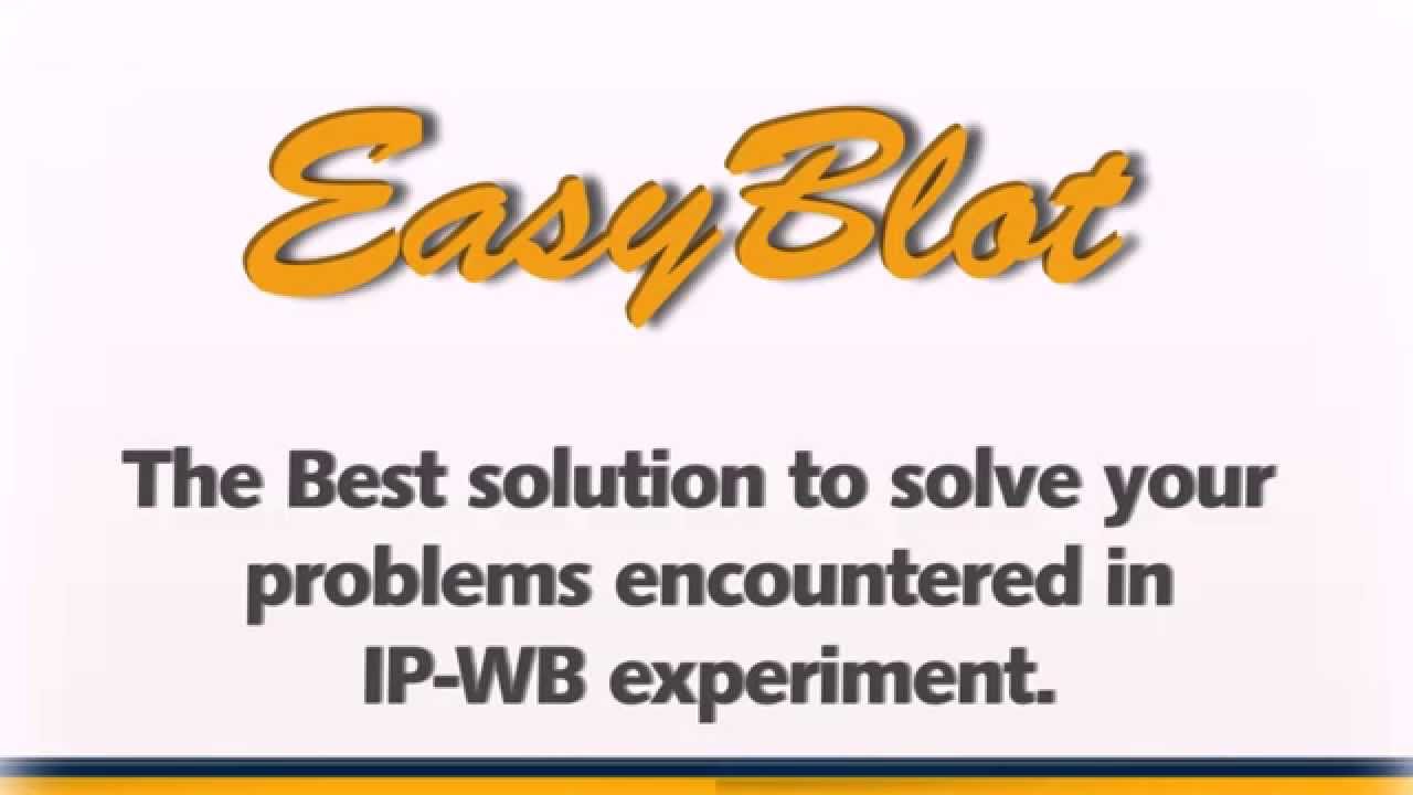 EasyBlot: the easiest way to get the best result.