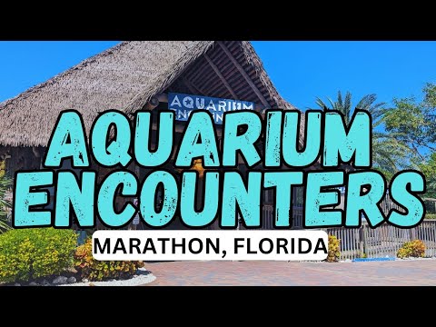 Aquarium Encounters in Marathon, FL