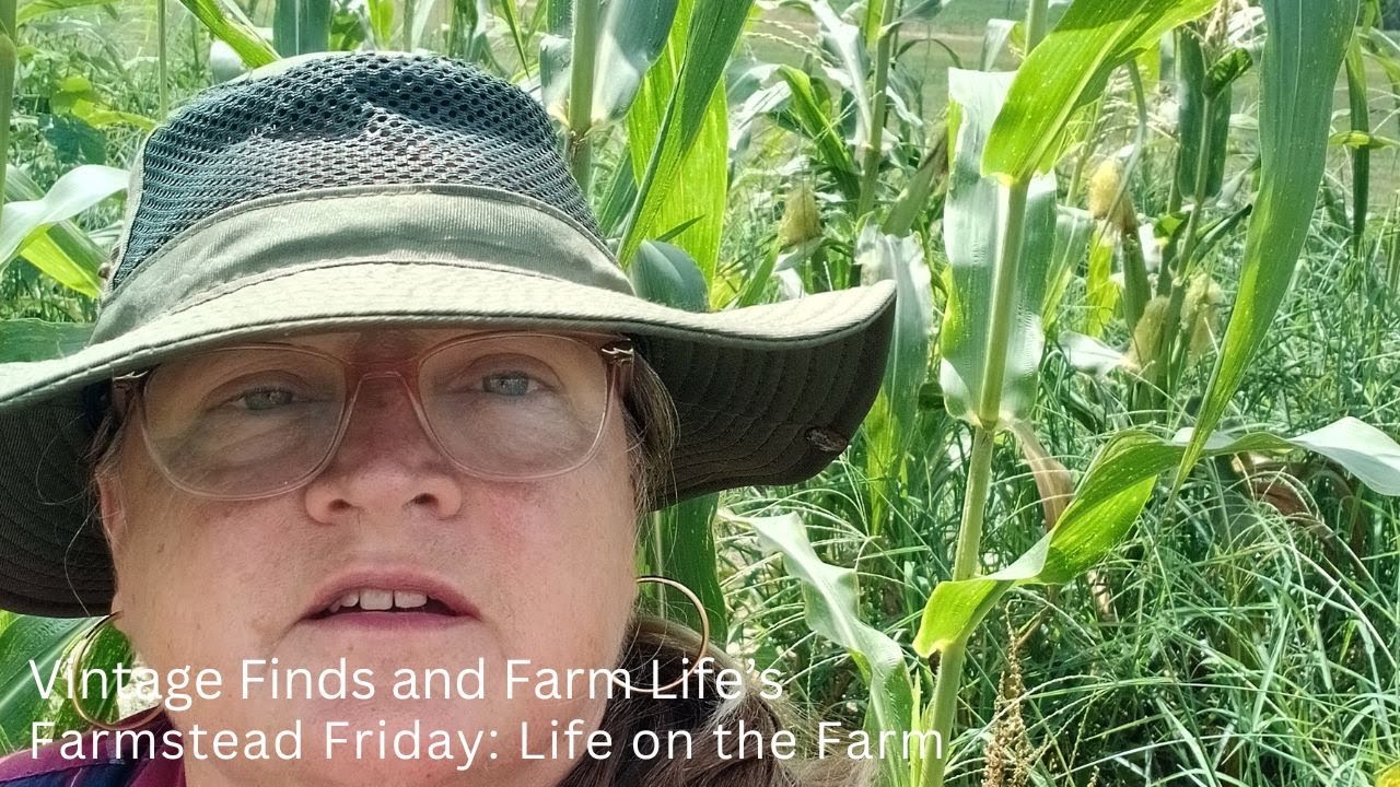 The Anatomy of Corn: How Corn Grows