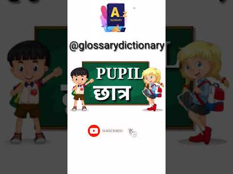 How to pronounce Pupil word with hindi meaning