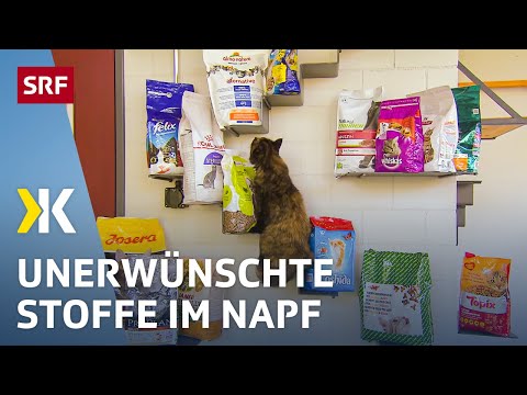 Katzenfutter im Test: Gesundheitsgefährdende Stoffe im Katzennapf | 2018 | Kassensturz | SRF