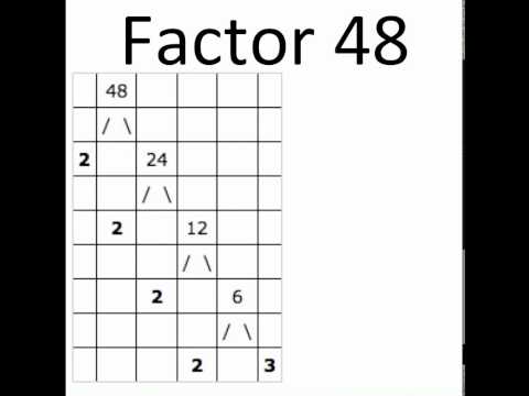 Factor A 48