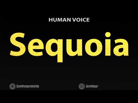 How To Pronounce Sequoia