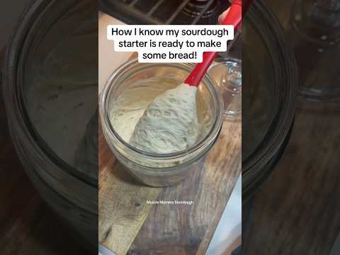 How to tell when your #sourdoughstarter is ready to make some #bread #sourdoughbread #breadmaker