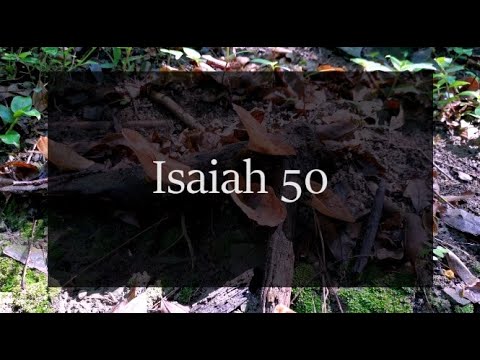 A reading of Isaiah 50 from the New International Version - Anglicized