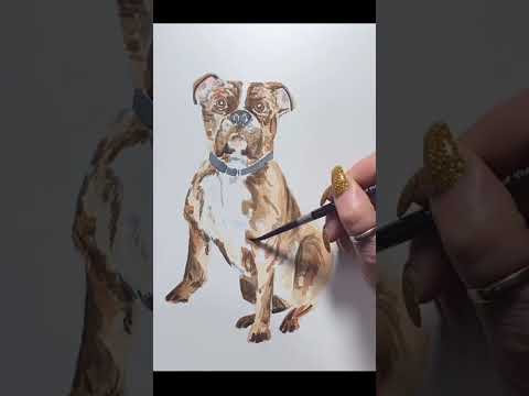 Watercolour dog portrait , opie