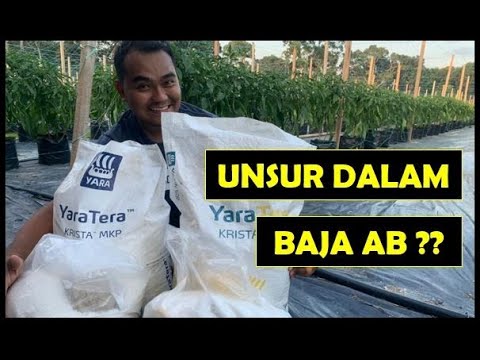 BAJA NPK VS BAJA TUNGGAL | UNSUR BAJA