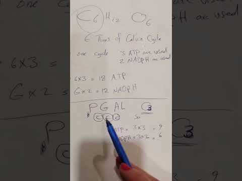 BIOLOGY 11 PGAL