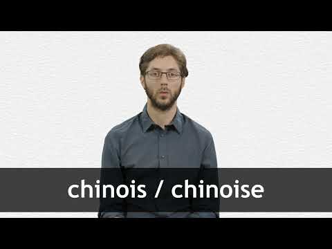 English Translation of “CHINOIS” | Collins French-English Dictionary