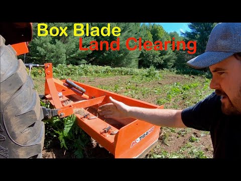 Most Useful 3 Point Hitch Implement | Compact Tractor Clears Land with a Box Blade