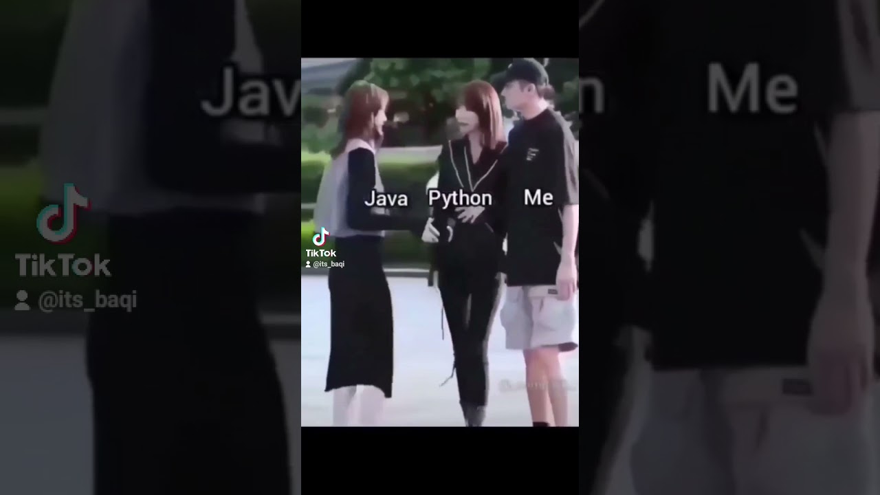 Java Vs Python                                           #developer #python #java #developer #fyp