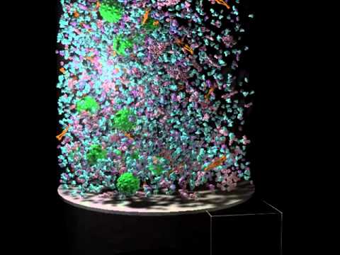 VesselCollisionFarLarge4.mov