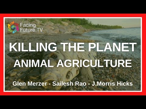 Animal Agriculture is Killing the Planet