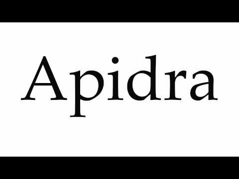 How to Pronounce Apidra