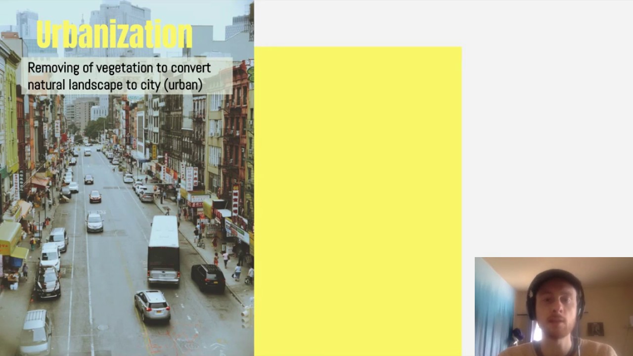 APES Video Notes for 5.10 - Urbanization