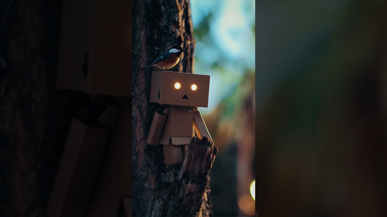 Danbo AI Animated / ComfyUI - Wan 2.1-2.2 / Image to Video