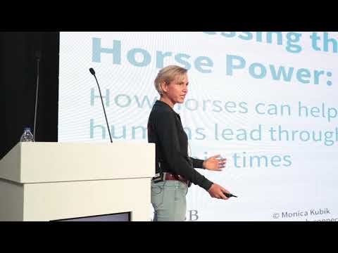Harnessing the Horse Power - how horses can help humans lead through uncertain times