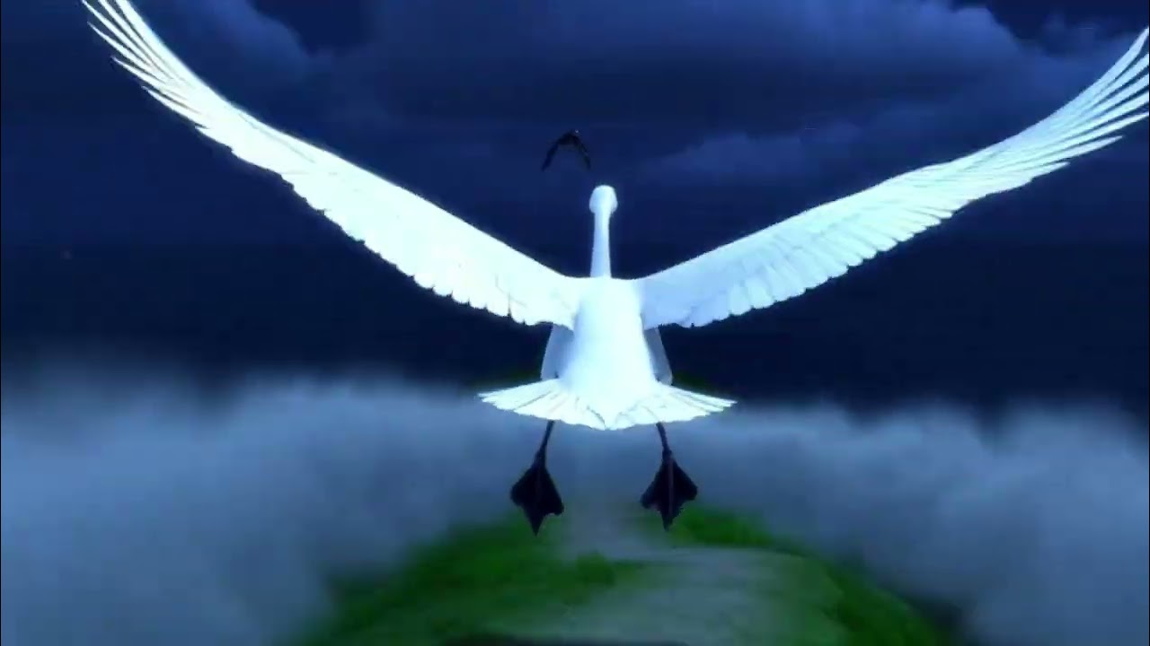 The Swan Simulator – Graceful Life on Lakes and Rivers