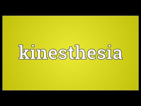 Kinesthesia Meaning