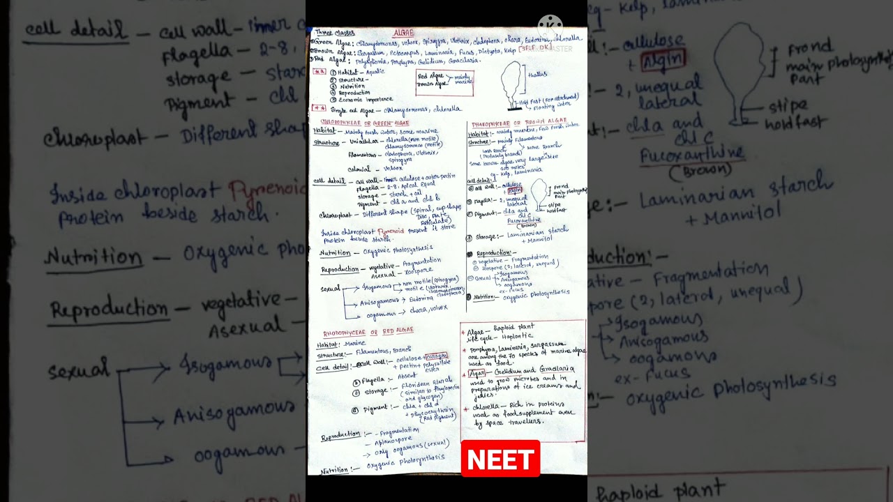 Neet 2022:  ALGAE (PLANT KINGDOM🌱)Short 📝notes👨‍⚕👨‍⚕👨‍⚕👨‍⚕👨‍⚕👨‍⚕🩺🩺🩺🩺❤❤