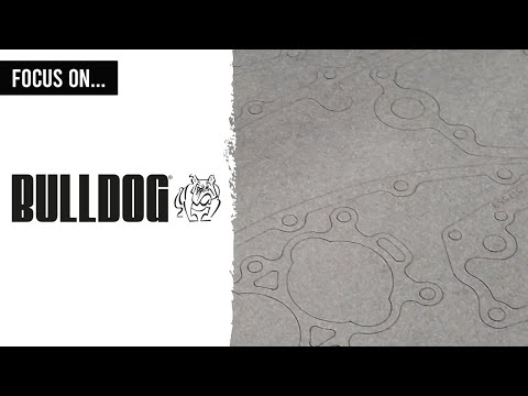 Gasket Shellac Compound at Best Price in India