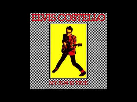 Elvis Costello Alison on HQ Vinyl with Lyrics in Description