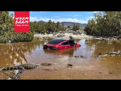 Tesla Model 3 Owner Ignores Warnings, Drives Car Into Floodwater While ...