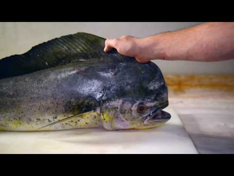 A Tour of Hilton Head, South Carolina with Chef Chaun Bescos
