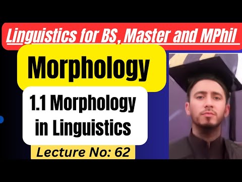 What is Morphology in Linguistics?| By Muhammad Alamgir