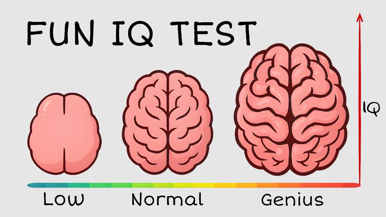 Only 9% Can Pass This IQ Test 🧠