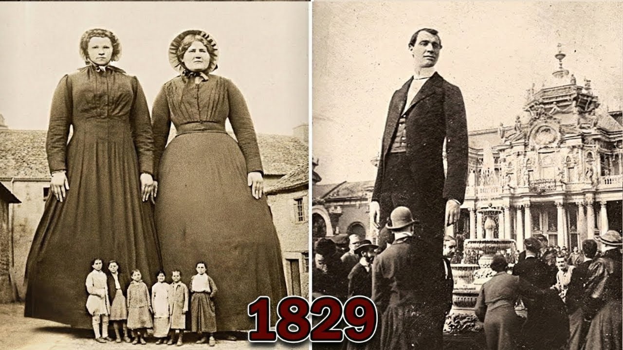 Why Giants Vanished After 1800 — The Mudflood Cover-up