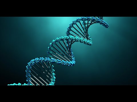 Definition and basic knowledge of Genotoxicity, carcinogenicity by MSR