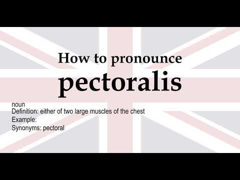 pectoralis