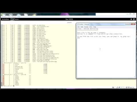 Suse Linux - Netstat grep TCP UDP