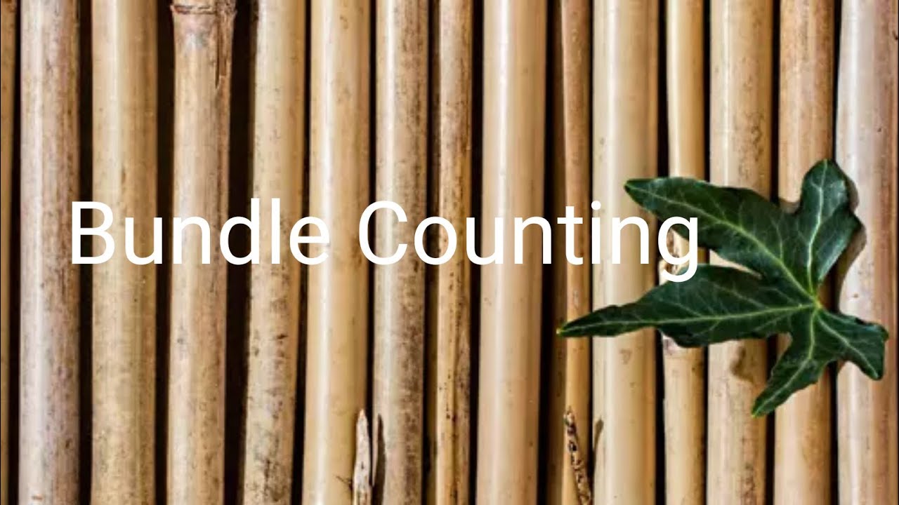 Bundle counting
