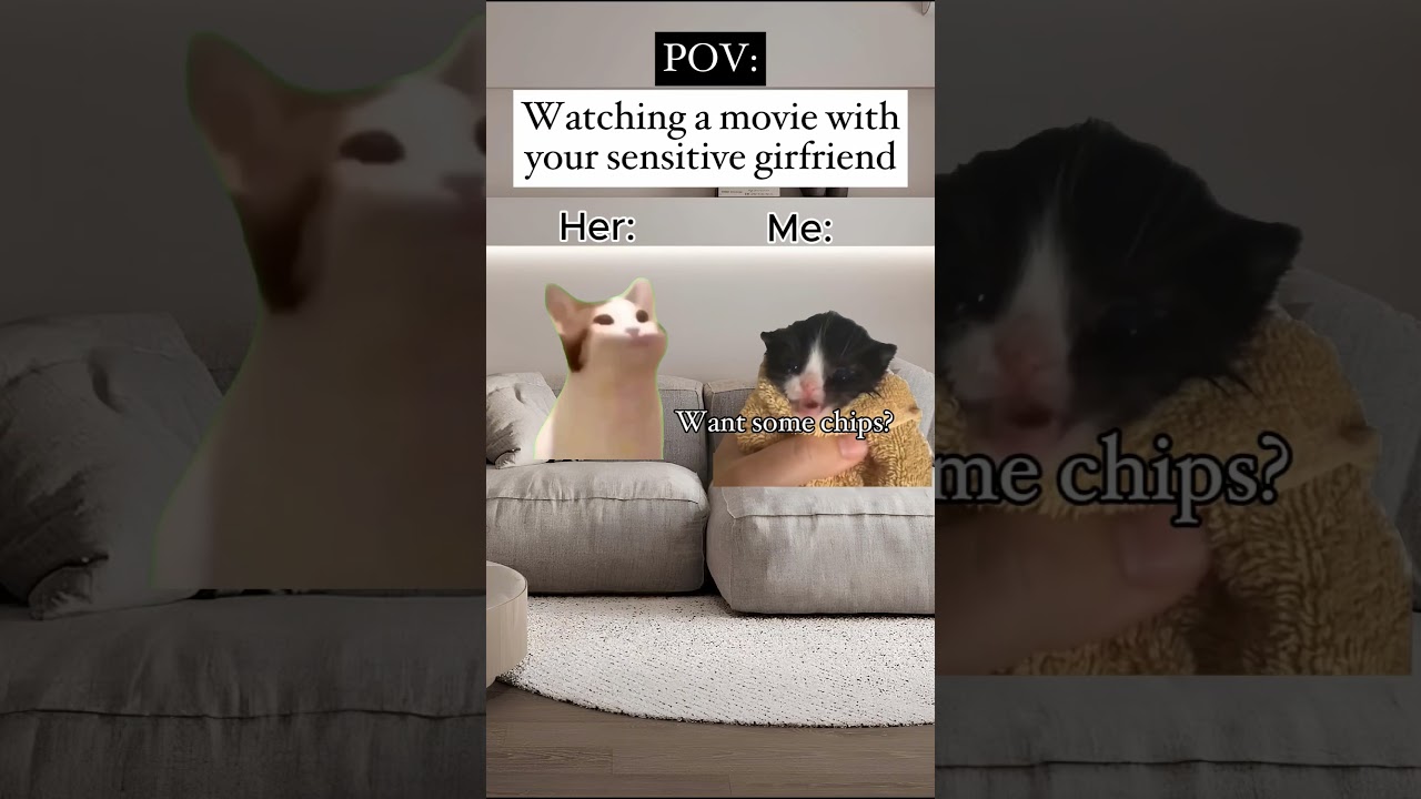 Cat memes funny cats couple meme couples boyfriend girlfriend