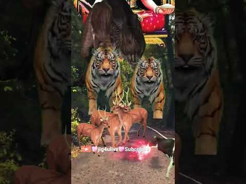 ☀️Mata Rani ✔️Jai Santoshi Maa☀️|| #shorts #viral #bhakti ????????????????????✨️????????????