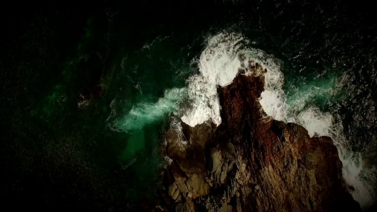 Code Blue Book Trailer 1